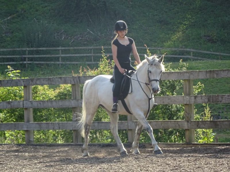 Horse Riding - Witherslack Hall Farm House